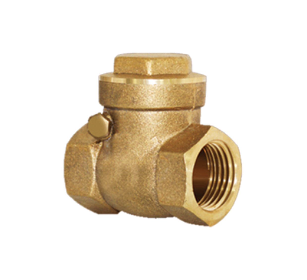 Swing Check Valve 1" – SUNICO